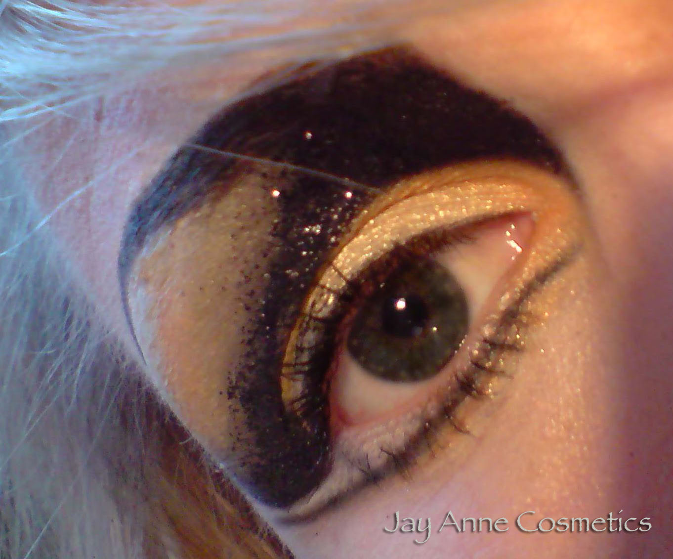 Jay Anne Cosmetics: CopyCat: Dior